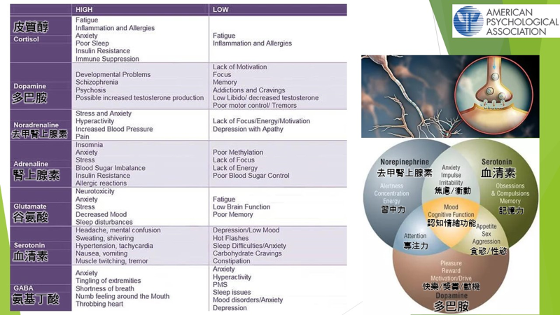 Psychological & Mental Health – Greater Boston Chinese Alliance Church